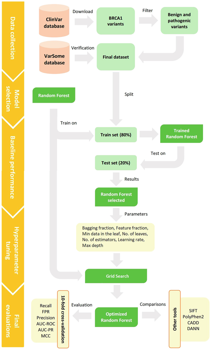 A random forest-based predictive model for classifying BRCA1 missense variants: a novel approach ...