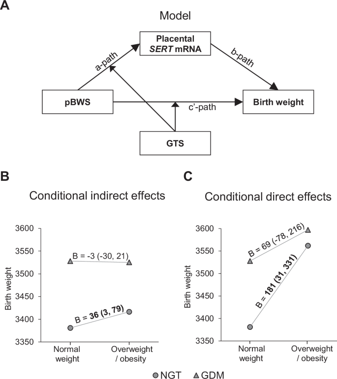 Placental expression of the serotonin transporter (SERT) gene ...