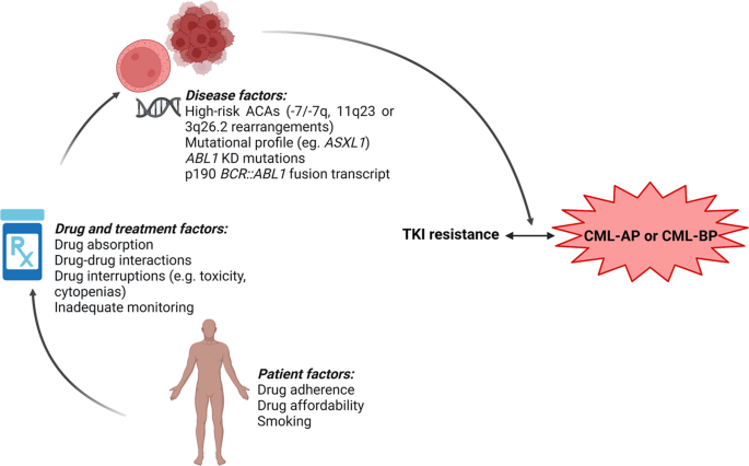 Pathogenesis and management of accelerated and blast phases of chronic ...