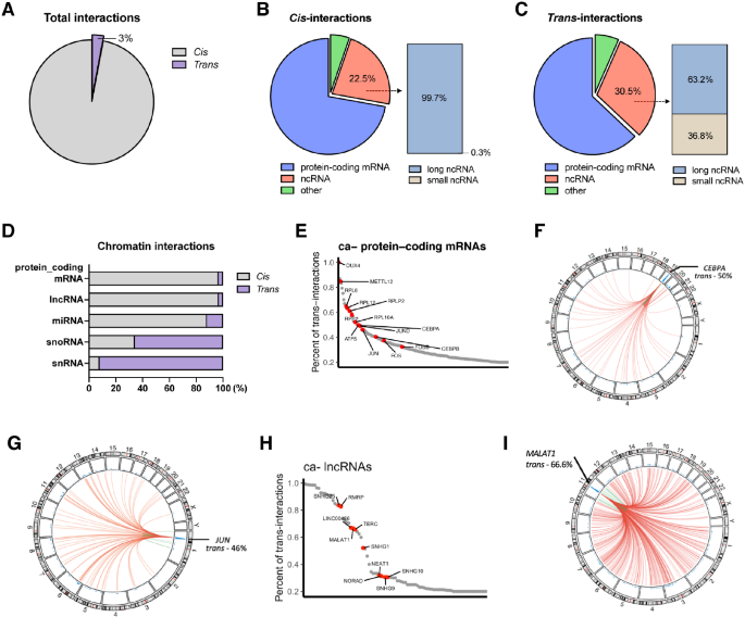 The landscape of RNA-chromatin interaction reveals small non-coding RNAs as essential mediators ...
