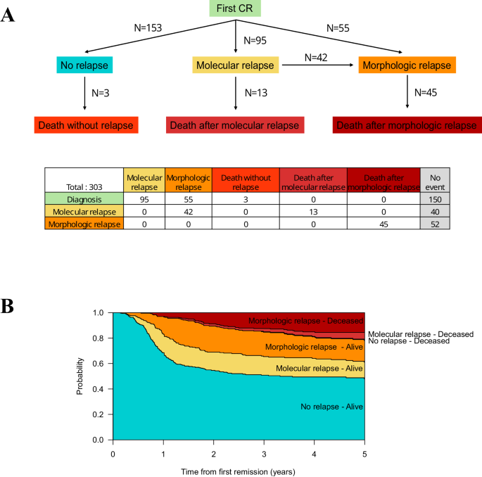 Molecular relapse after first-line intensive therapy in patients with CBF or NPM1-mutated acute ...