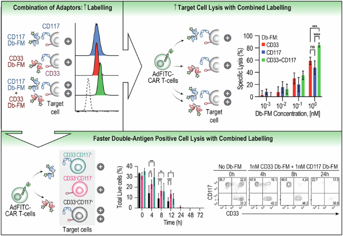 Efficient combinatorial adaptor-mediated targeting of acute myeloid leukemia with CAR T-cells ...