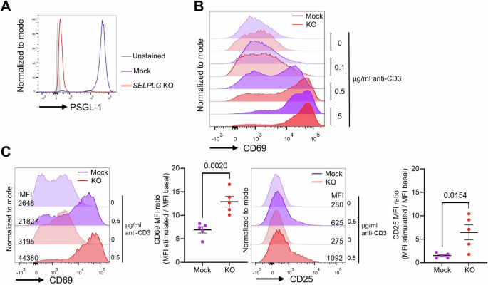 Antibody blockade of the PSGL-1 immune checkpoint enhances T-cell responses to B-cell lymphoma ...