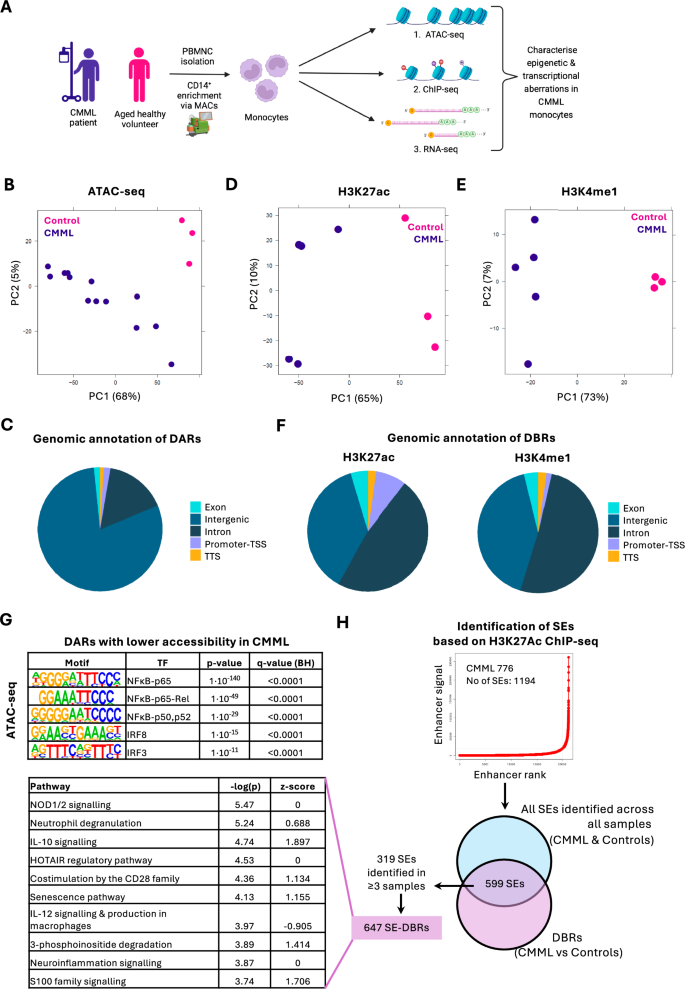 Multi-omic analysis of chronic myelomonocytic leukemia monocytes ...