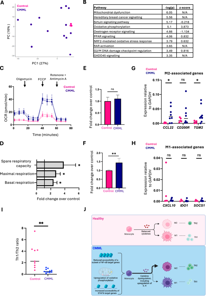 Multi-omic analysis of chronic myelomonocytic leukemia monocytes ...