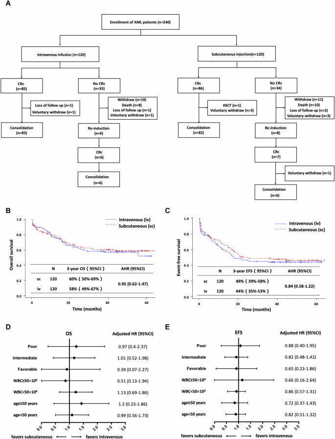 Comparison of subcutaneous injection versus intravenous infusion of ...