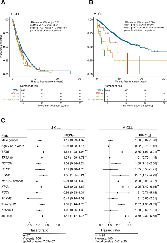 ATM aberrations in chronic lymphocytic leukemia: del(11q) rather than ...