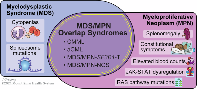 Myelodysplastic syndrome/myeloproliferative neoplasm overlap syndromes ...