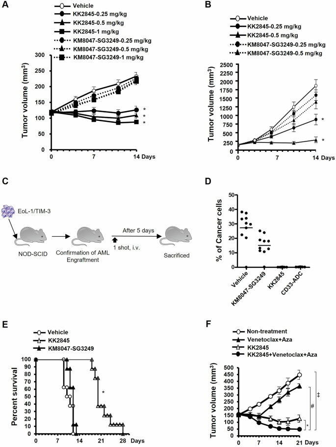 KK2845, a PBD dimer-containing antibody-drug conjugate targeting TIM-3-expressing AML | Leukemia