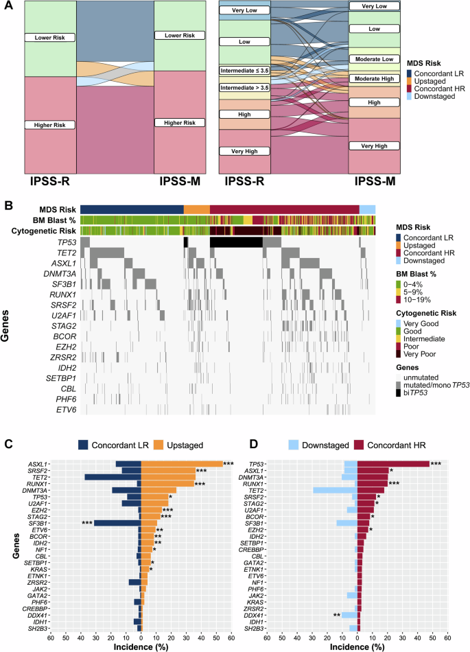 Impact of discordant revised versus molecular international prognostic ...