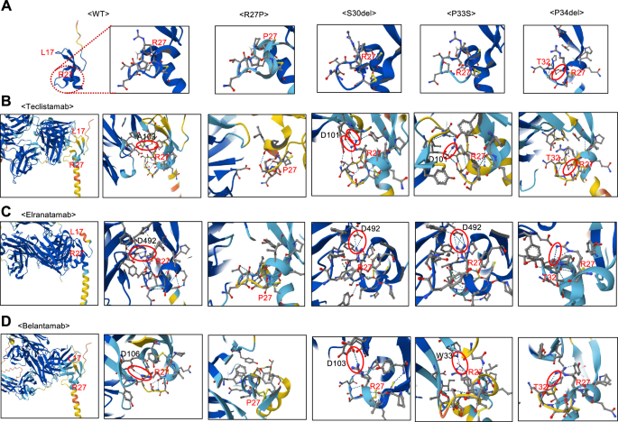 Structure-based prediction reveals a difference in the binding mode of ...