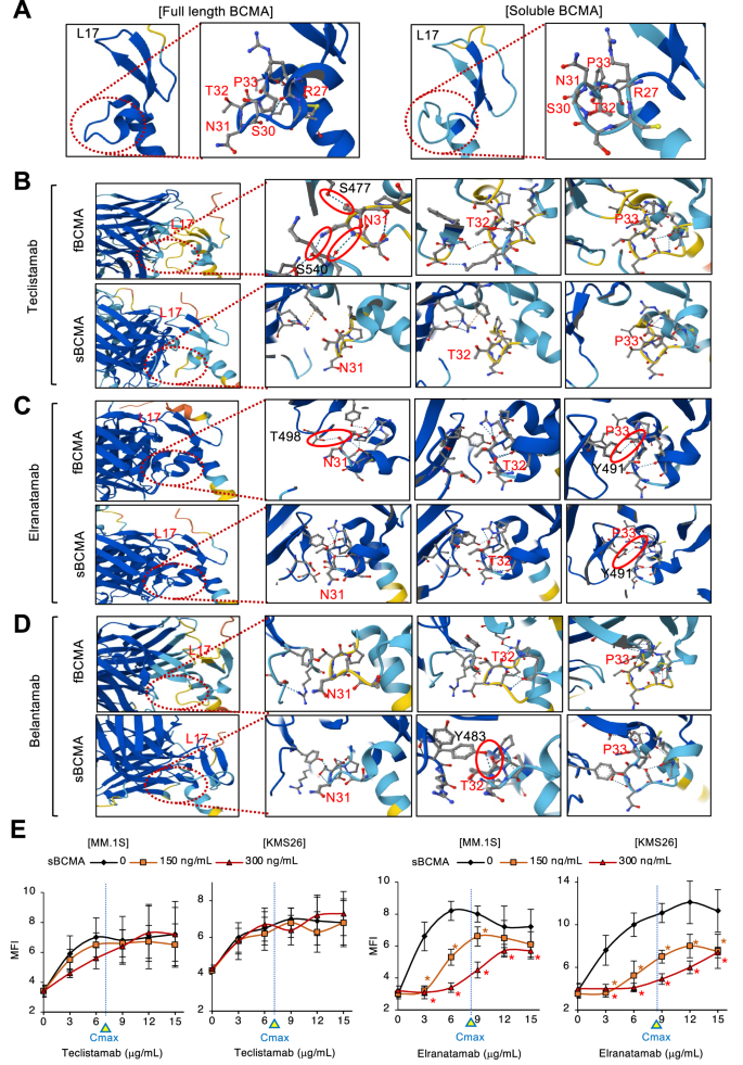 Structure-based prediction reveals a difference in the binding mode of ...