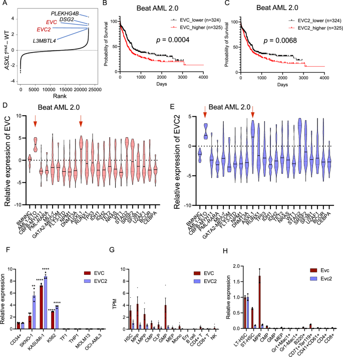 Oncogenic activation of EVC/EVC2 defines a therapeutically targetable ...