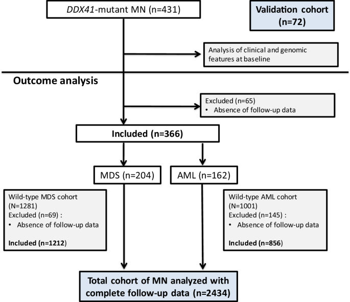 DDX41-mutant myeloid neoplasms defy current prognostic schemes and ...