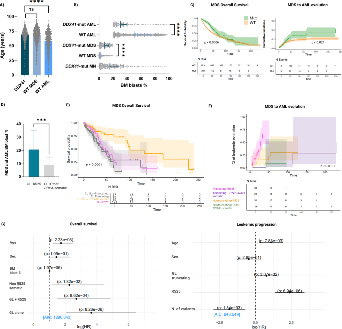 DDX41-mutant myeloid neoplasms defy current prognostic schemes and ...