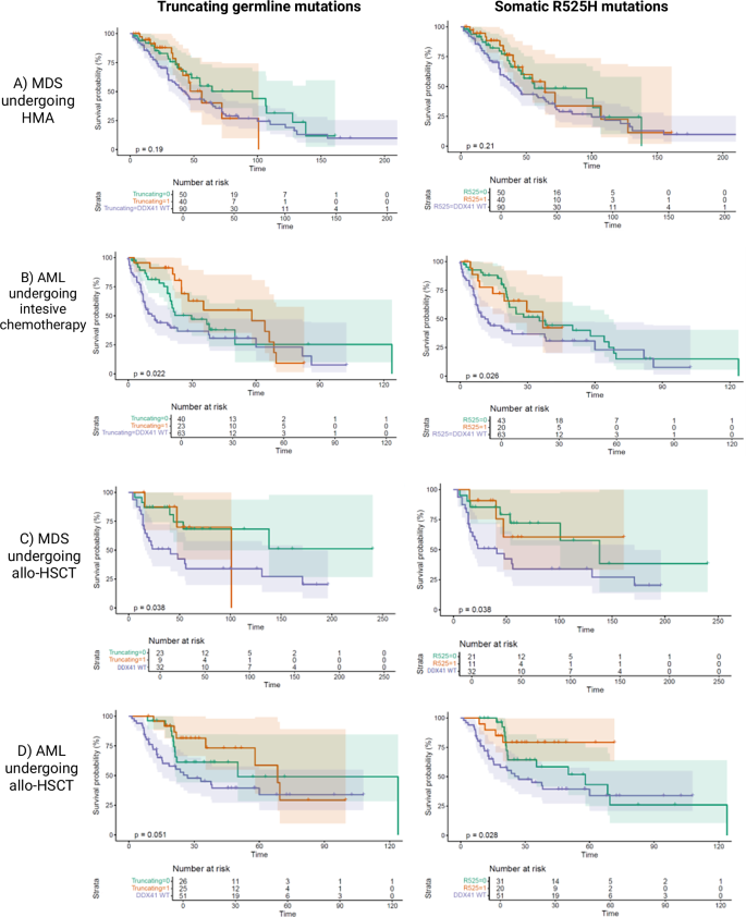 DDX41-mutant myeloid neoplasms defy current prognostic schemes and ...