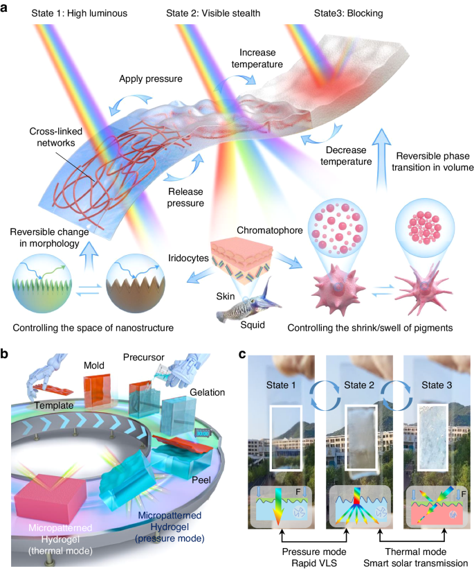 Bio-inspired micropatterned thermochromic hydrogel for concurrent smart ...