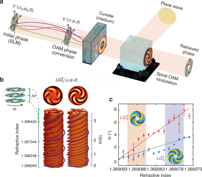 Phase preservation of orbital angular momentum of light in multiple ...