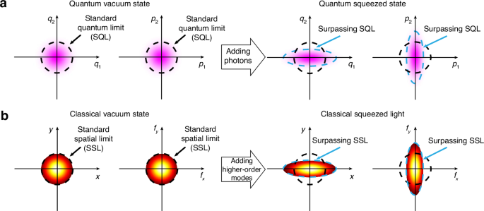 Structured light analogy of quantum squeezed states | Light: Science ...