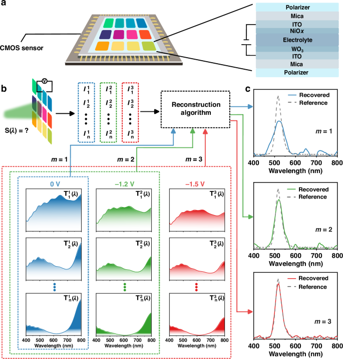 Miniaturized on-chip spectrometer enabled by electrochromic modulation ...