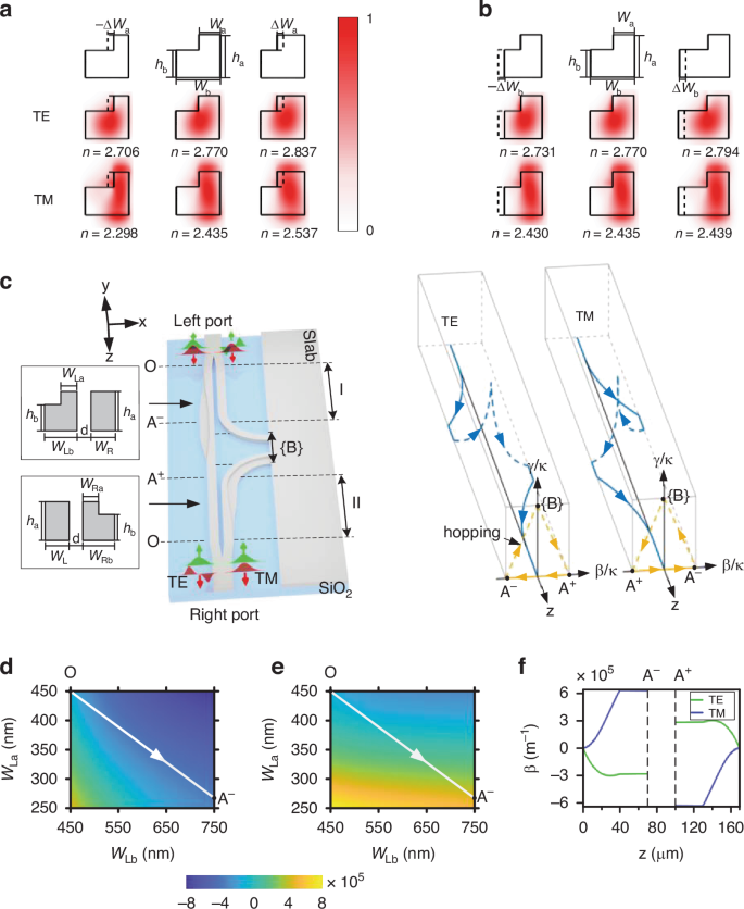 Polarization-controlled chiral transport | Light: Science & Applications