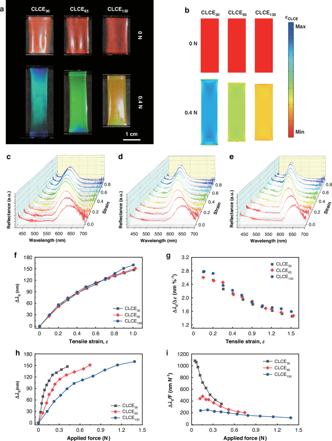 Programmable optical encryption using thickness-controlled stretchable ...