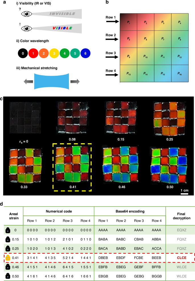 Programmable optical encryption using thickness-controlled stretchable ...