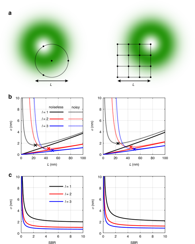MINFLUX nanoscopy enhanced with high-order vortex beams | Light ...