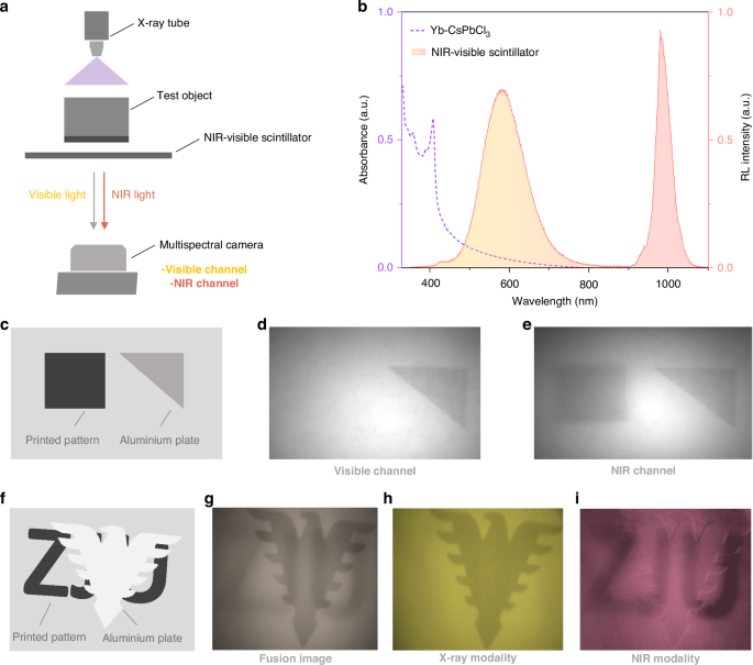 Single-shot X-ray and near-infrared (NIR) dual-mode fusion imaging ...