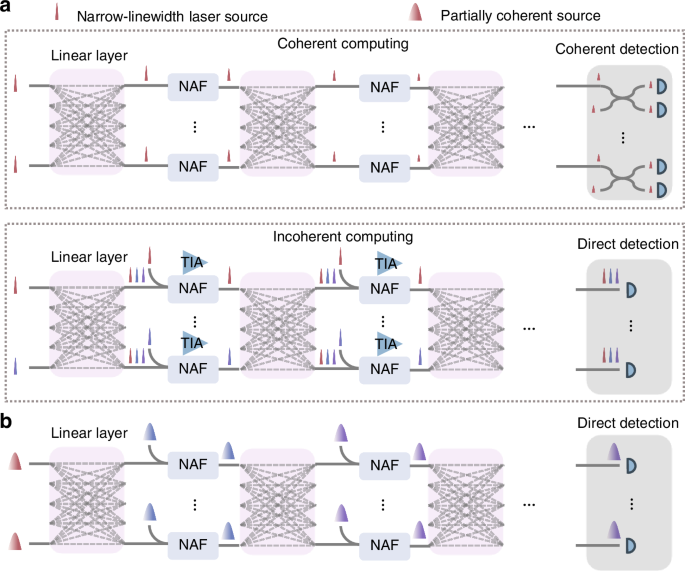 Scaling up for end-to-end on-chip photonic neural network inference | Light: Science & Applications