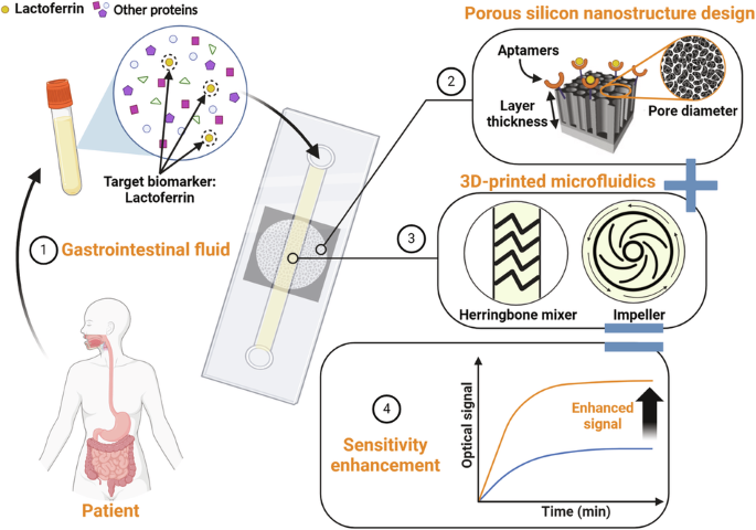 Enhancing the performance of porous silicon biosensors: the interplay ...