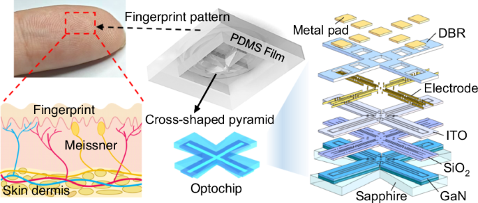 GaN/PDMS-based opto-electro-mechanical tactile sensors | Microsystems ...