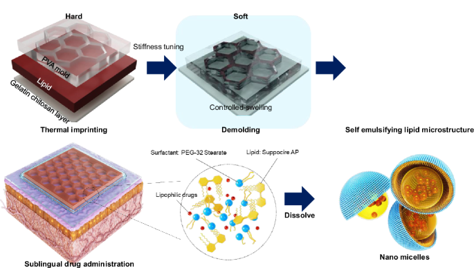 Fabrication of self-emulsifying lipid microstructure by stiffness ...