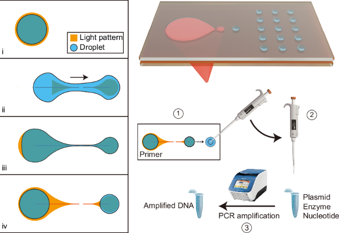 A high-precision nanoliter droplet dispensing system based on ...