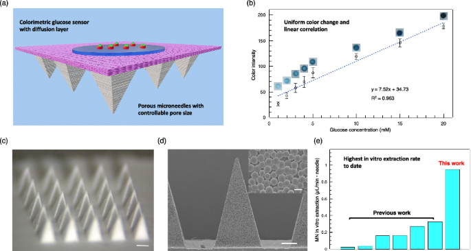 Controllable-pore porous microneedles for high-speed extraction and ...