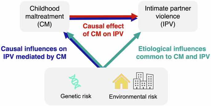 Causal and common risk pathways linking childhood maltreatment to later ...