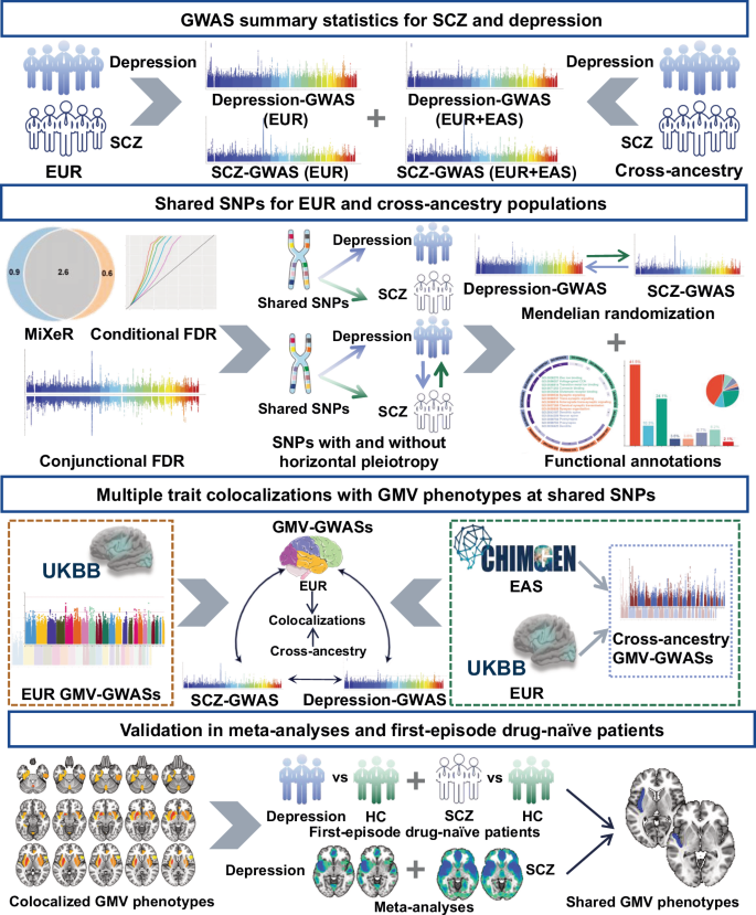 Genetic and neural mechanisms shared by schizophrenia and depression ...