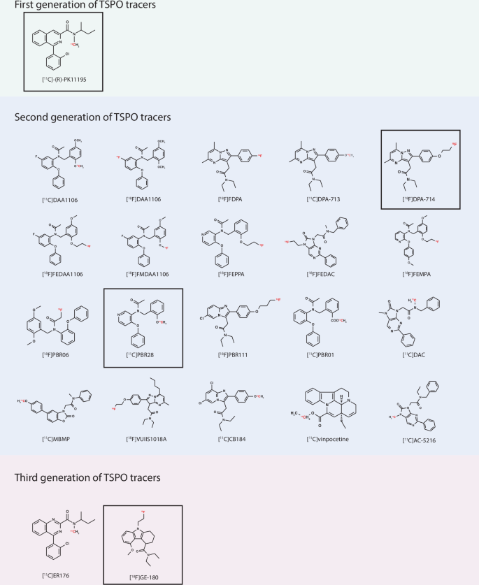 Association between FDG- and TSPO-PET signals across human and animal ...