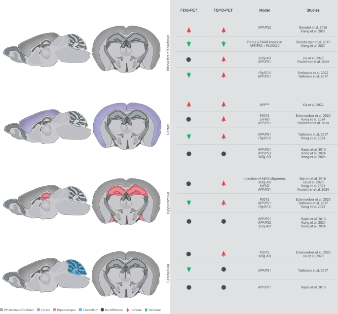 Association between FDG- and TSPO-PET signals across human and animal ...