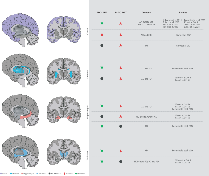 Association between FDG- and TSPO-PET signals across human and animal ...