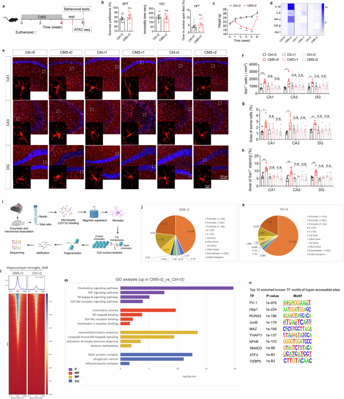 NLRP3-mediated trained immunity of microglia is involved in the ...