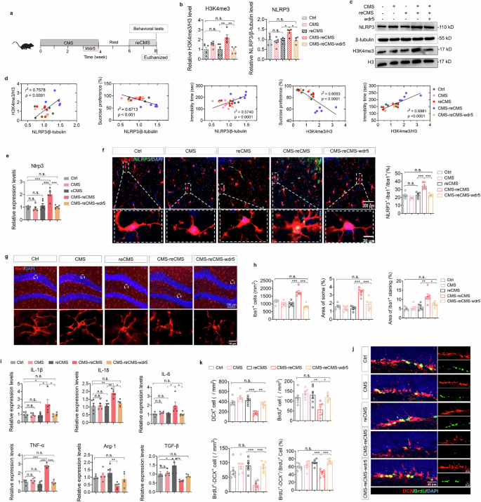 NLRP3-mediated trained immunity of microglia is involved in the ...