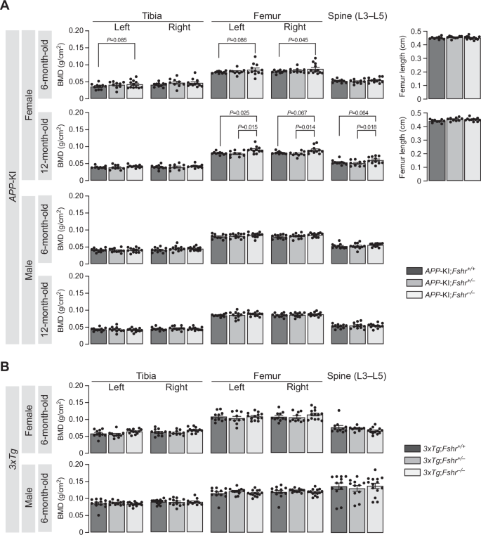 Fshr gene depletion prevents recognition memory loss, fat accrual and ...