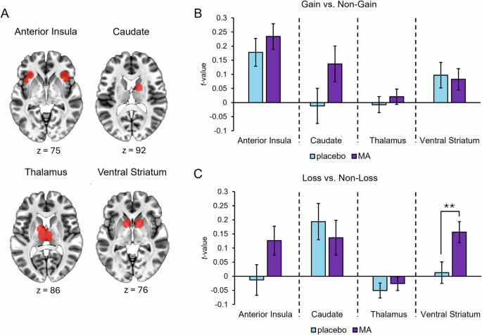 Effects of methamphetamine on two measures of reward: Euphoria and ...