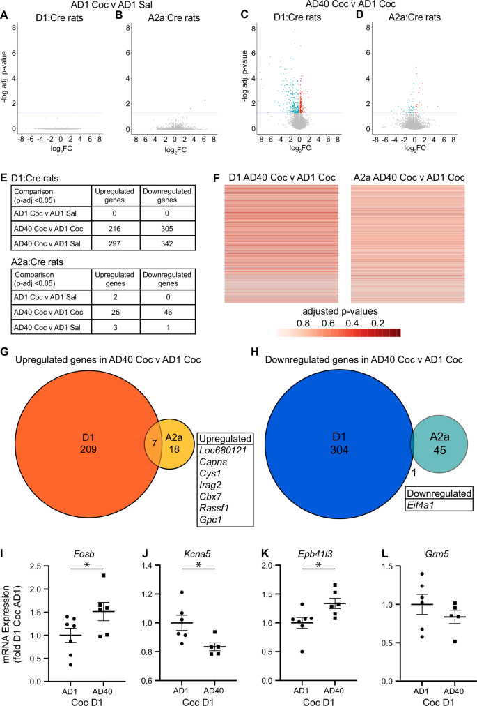Changes in nucleus accumbens core translatome accompanying incubation ...
