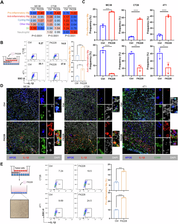 FK228 reshapes tumor microenvironment to enhance anti-PD-L1 efficacy ...