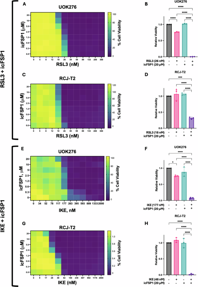 Targeting FSP1 to induce ferroptosis in chromophobe renal cell carcinoma | Oncogene