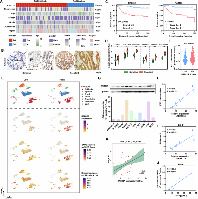 RAB22A triggers intercellular chemoresistance transmission in ...