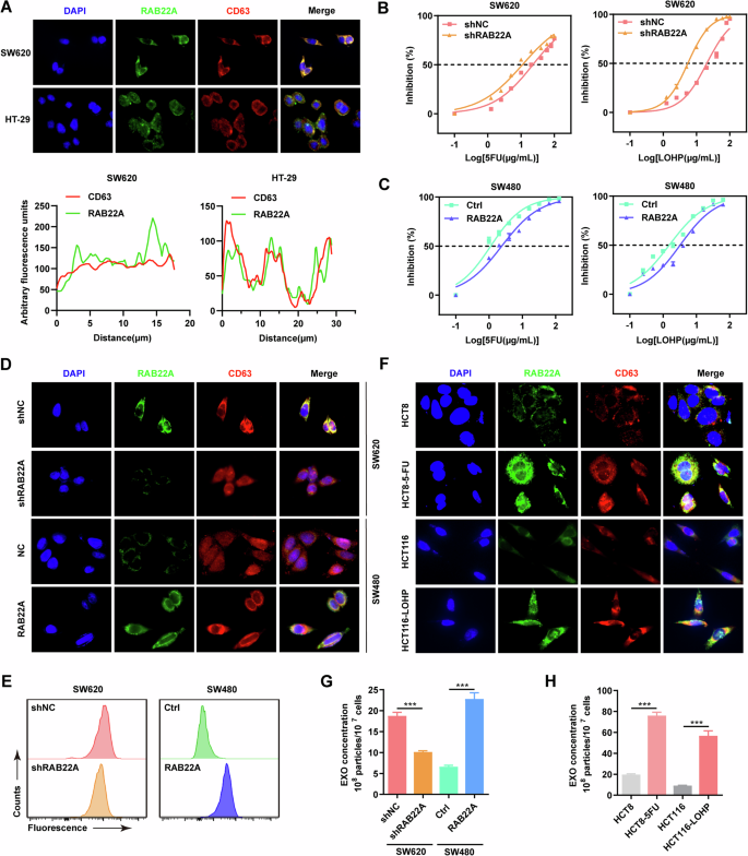 RAB22A triggers intercellular chemoresistance transmission in ...