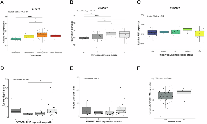 Involvement of Kindlin-1 in cutaneous squamous cell carcinoma | Oncogenesis